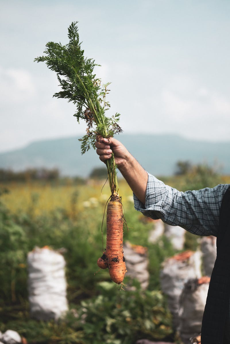 Be Natural - Soil.Harvest.Table